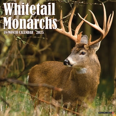 Seasons of the Whitetail (Deer) 2025 Wall Calendar - Walmart.com