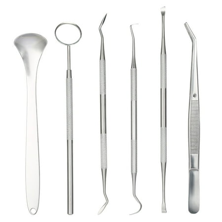 6Pcs Stainless Steel Tools Kit Dentist Tooth Hygiene Picks Mirror Kit ...
