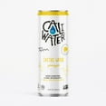 Caliwater Organic Pineapple Nopal Cactus Water: Plant-Based, Non-GMO ...