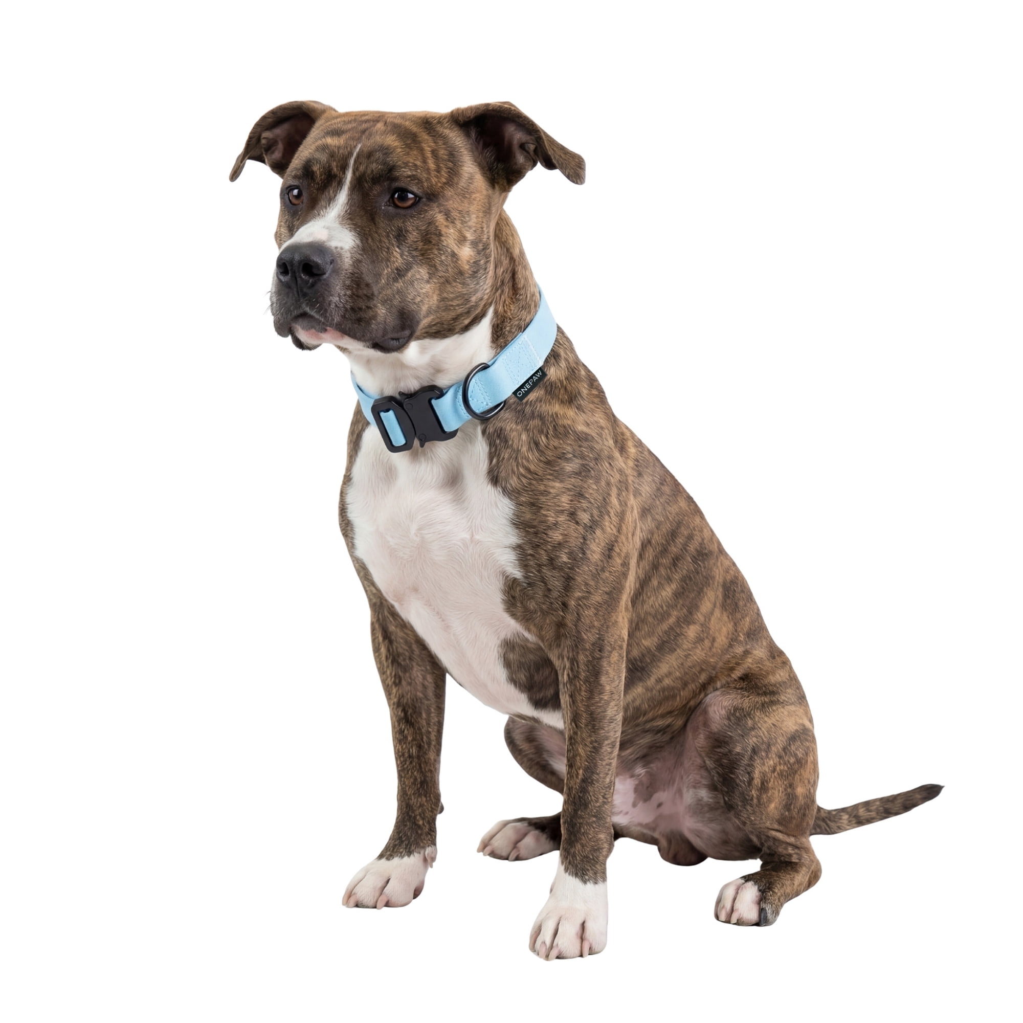 Click here for One Paw  Silicone Dog Collar With Metal Buckle  Wa... prices