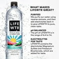 LIFEWTR Purified Water pH Balanced with Electrolytes 1L Bottle, Vibrant ...