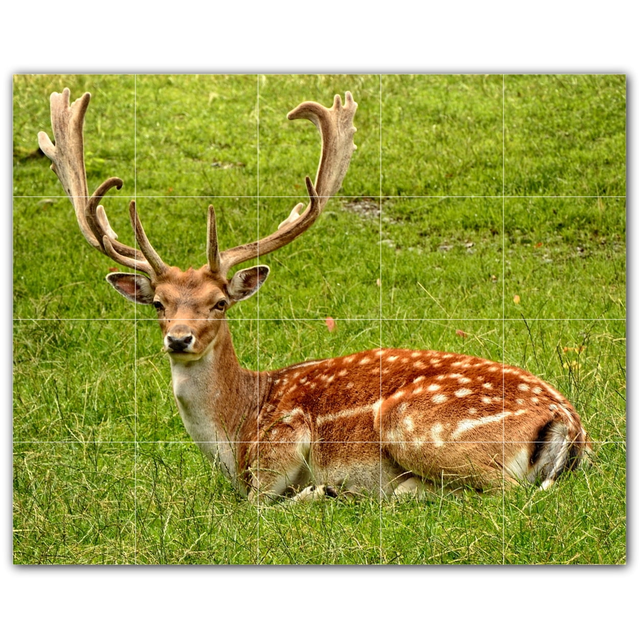 Picture-Tiles.com: Deer Ceramic Tile Wall Mural WAL500461-54XL. 60"W x ...