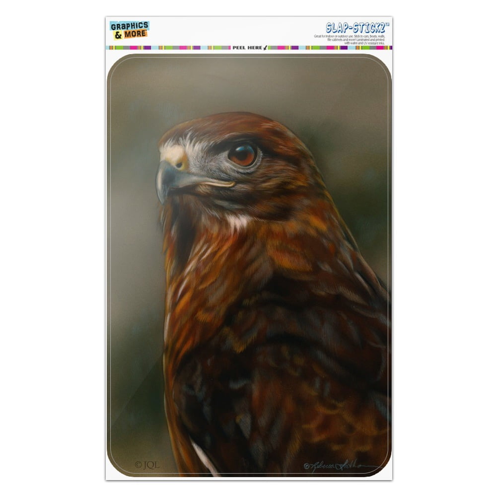 Red-Tailed Hawk Raptor Portrait Home Business Office Sign - Walmart.com