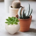 Home Succulent Flower Pot Ceramic Flower Pot Delicate Compact Flowerpot ...