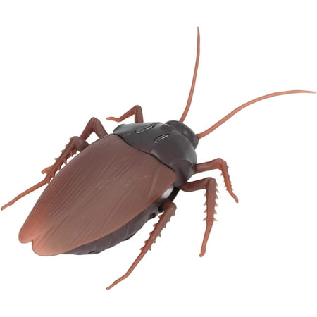 RC Cockroach Toy Fake Cockroach Electronic Pets Remote Control Insect ...