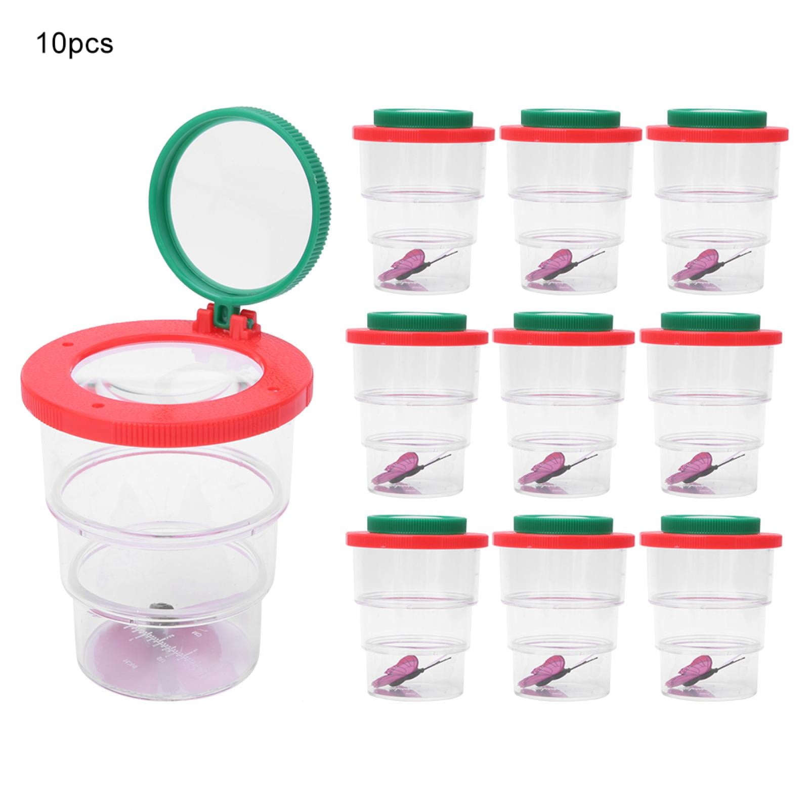 Caja para insectos, visor de insectos de 10 piezas, caja para insectos ...