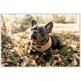 20x30 Poster, Glossy Poster Paper - Walmart.com