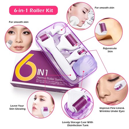 6 in 1 Microneedle Derma Roller Kit for Face and Body 300/720/1200 ...