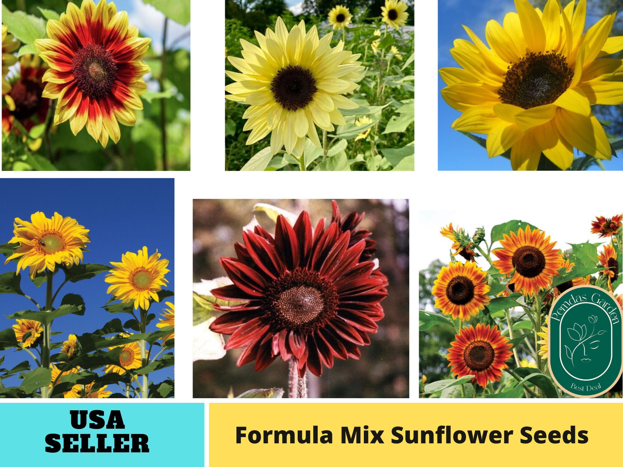 25+ Seeds| Formula Mix Sunflowers Seeds - Authentic Seeds - Perennial ...