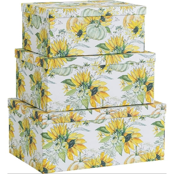 Decorative Cardboard Storage Boxes