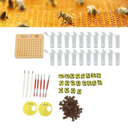 Beekeeping Grafting Kit, Queen Bee Rearing System Beekeeper Equipment ...