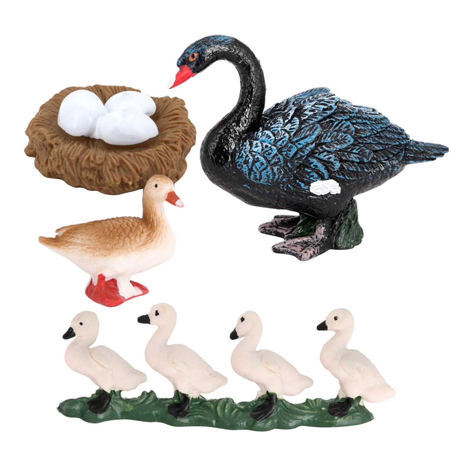 Animals Life Cycle Model Figures Swan Cicada Salmon Children ...