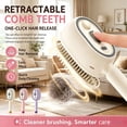 Electric Steam Brush for Hair with Water Spray, Retractable Air Cushion ...