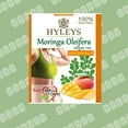 Hyleys Green Tea, Moringa Oleifera, Mango Flavor, 25 Tea Bags ...