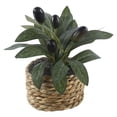 Artificial Olive Vine Bonsai Potted Plant with Pot – Indoor Desktop ...