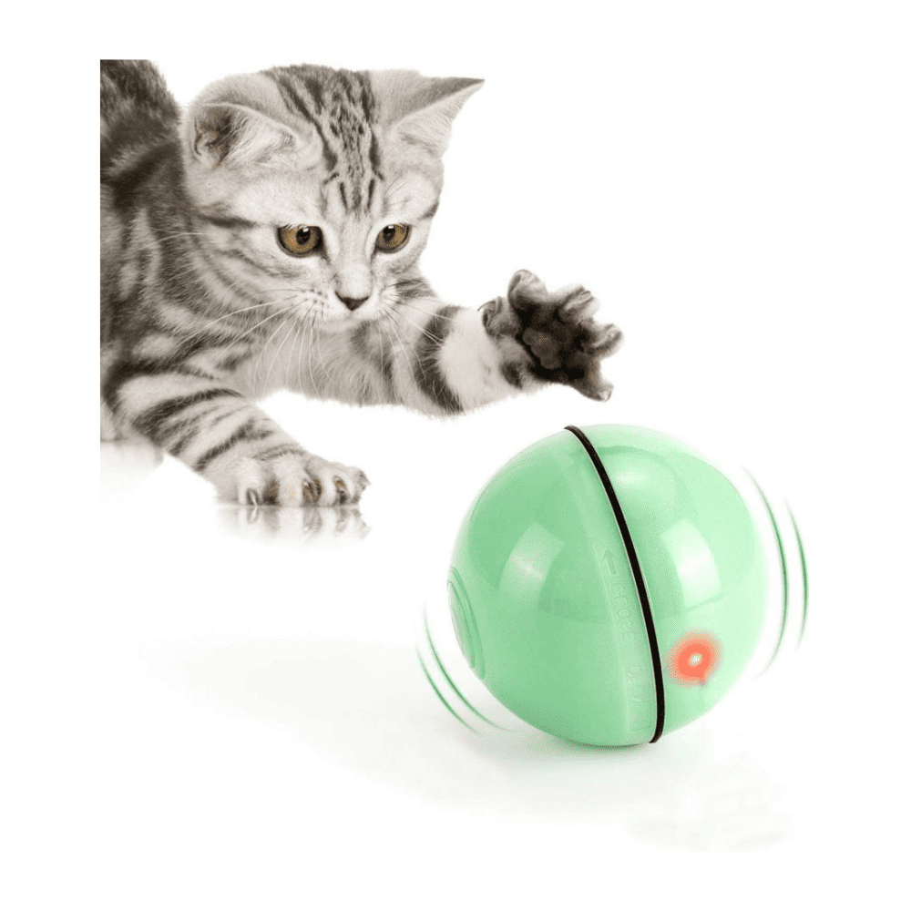 Pet Genius Smart Play Rover Cat Toy with USB Charging - Walmart.com