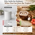 Coconut Shell Ceramic Mug with Spoon, 8oz Novelty Coffee Cup for Milk ...