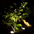 Solar Spot Lights Outdoor, LED Waterproof Pond Light Solar Spotlight ...
