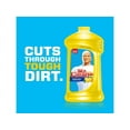 Mr. Clean Antibacterial Kitchen Multi-Surface Cleaner, Summer Citrus ...