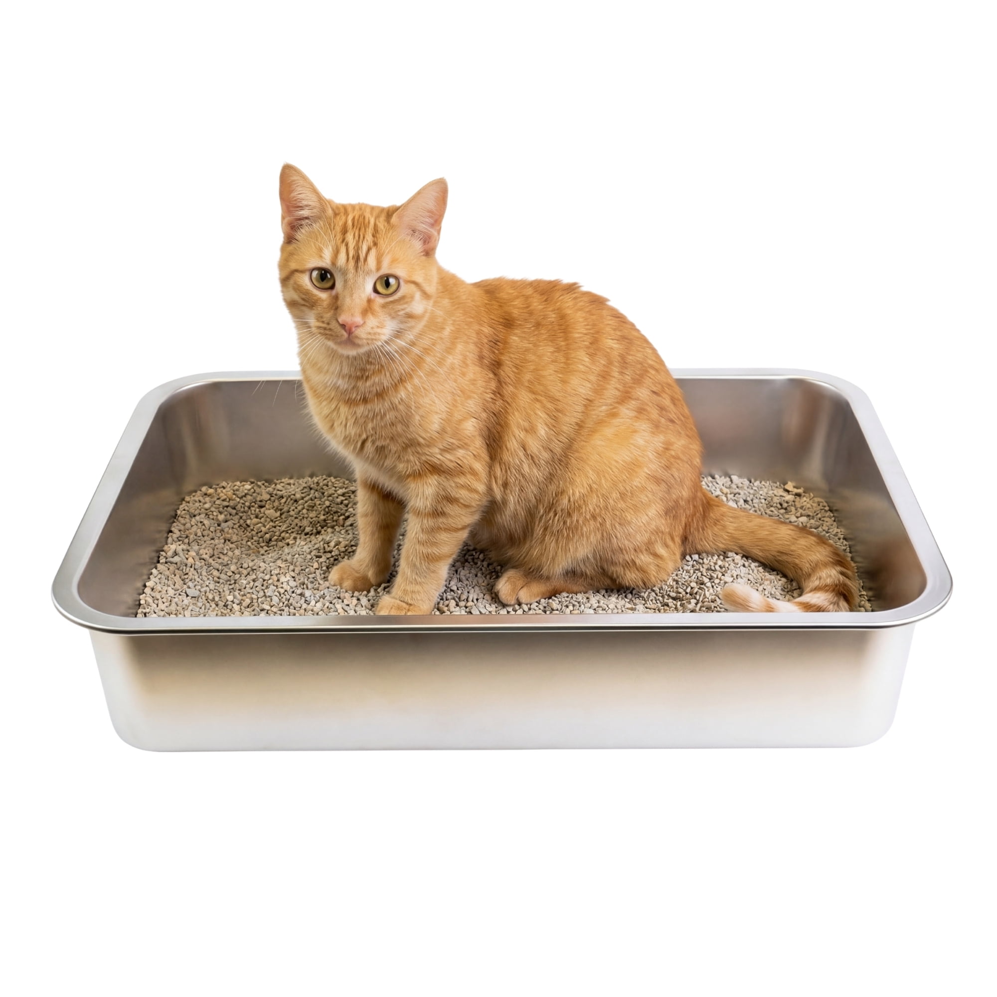 Click here for One Paw  Stainless Steel Cat Litter Box  Large  19... prices