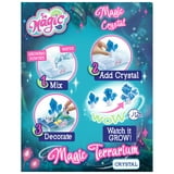 So Magic DIY - Medium Magic Terrarium Kit - Crystal Edition - Walmart.com
