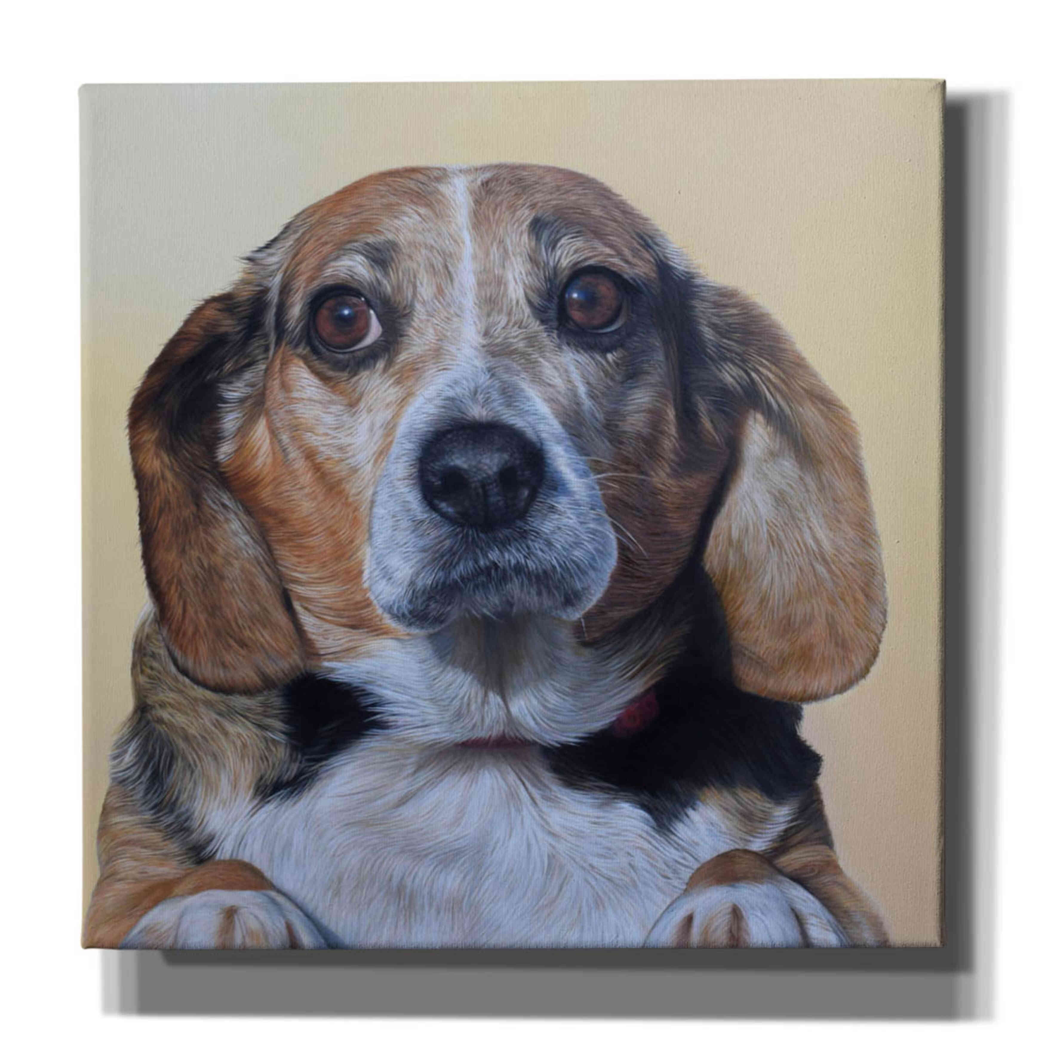 Epic Graffiti 'Wiggles' by Sam Dolman, Canvas Wall Art, 18"x18 ...