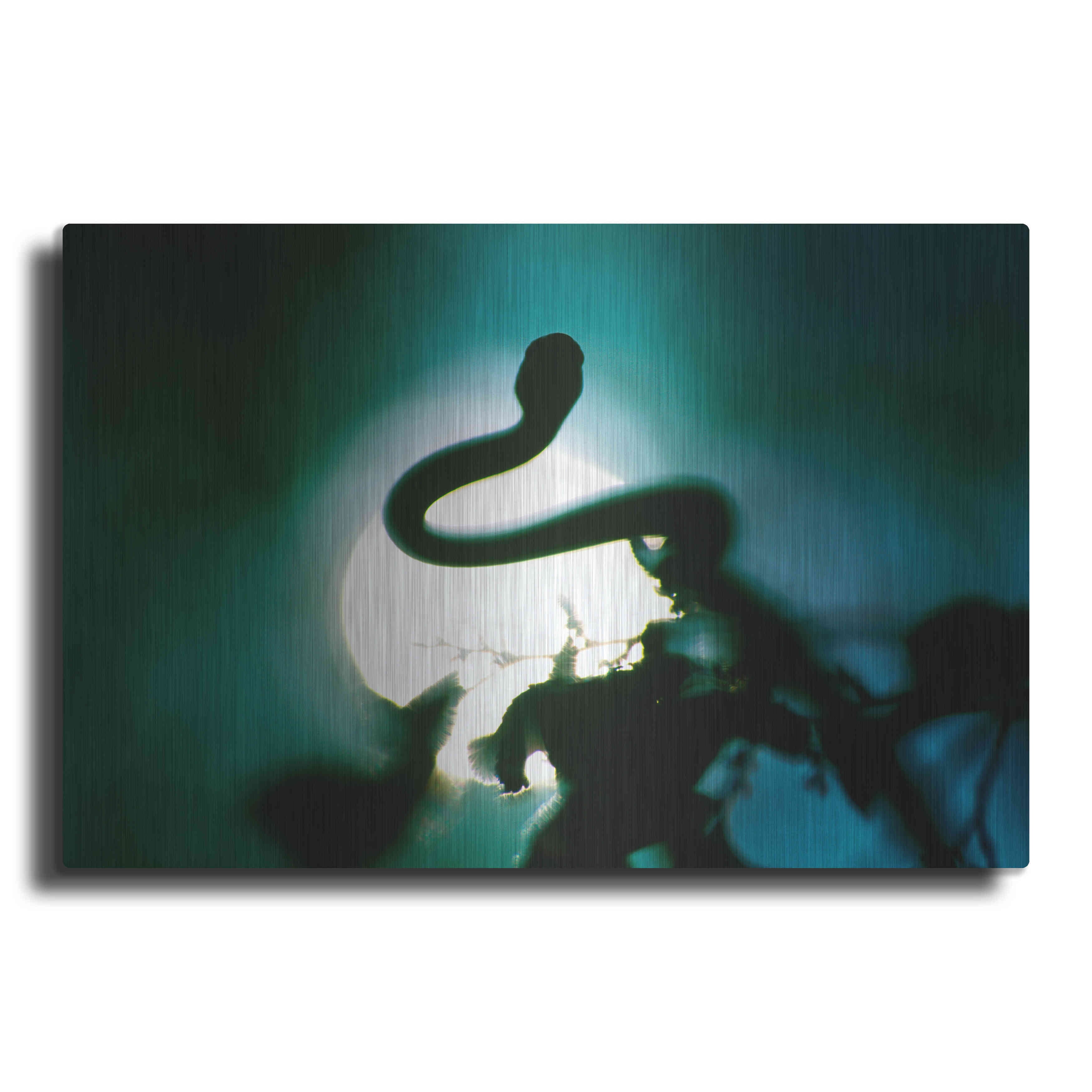 Luxe Metal Art 'Snake Sun' by Thomas Haney, Metal Wall Art, 36"x24 ...