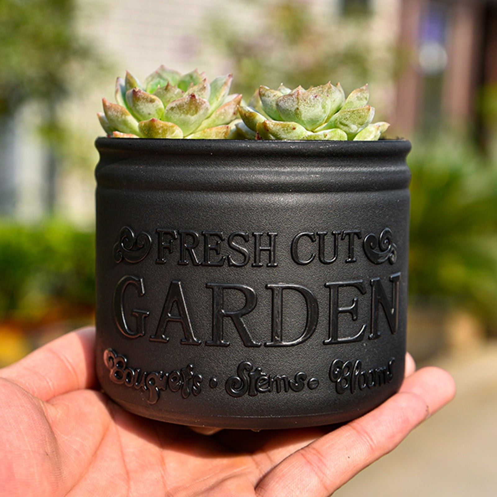 Click here for Egnmcr Home Decor  Room Decor  Wall Decor Succulen... prices