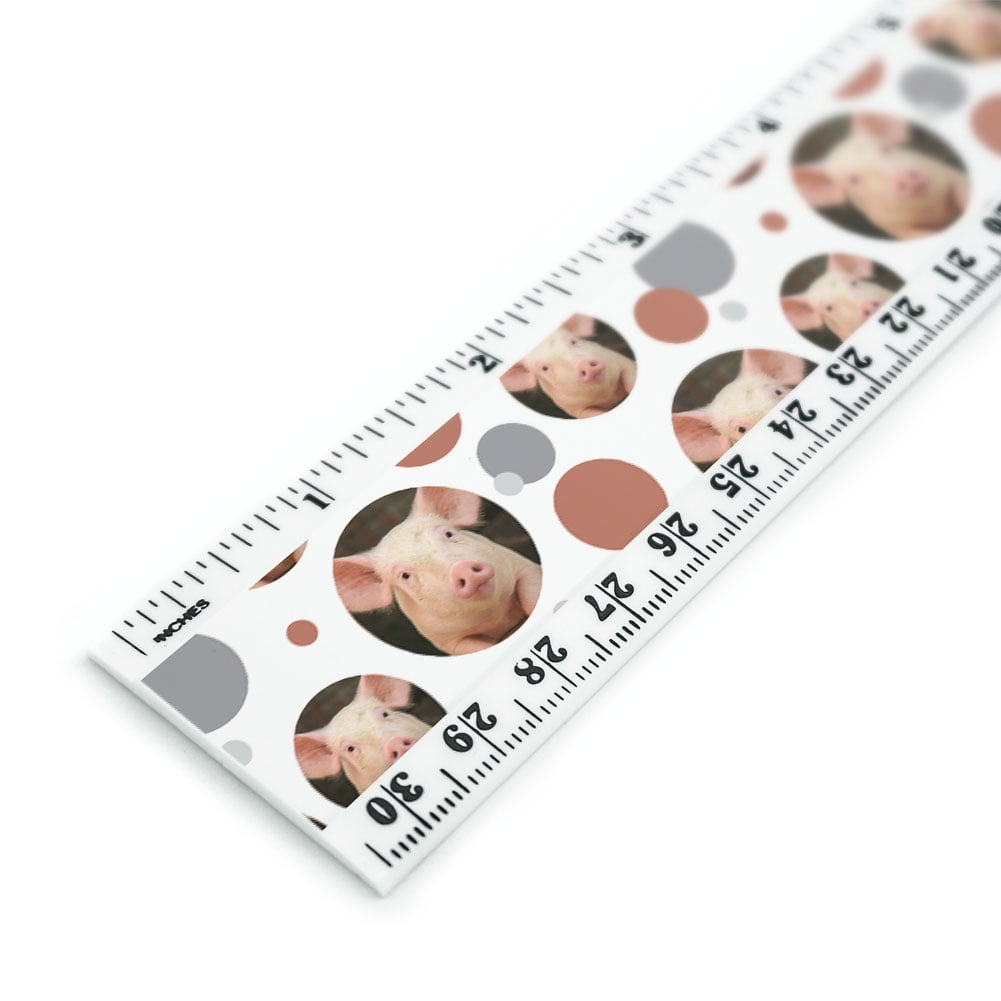 Little Pig Piggy 12 Inch Standard and Metric Plastic Ruler - Walmart.com