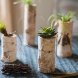 Birch Wood Tiny Planter String Hanging Planter Decoration - Walmart.com