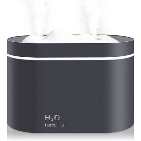 Mini Humidifier, 800ml Small Plant Humidifier, Portable Cool Mist ...