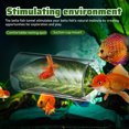 REOFLYUP 2Pcs Fish Tank Tunnel Betta Hideaway with Comfortable Resting ...