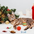 Holiday Stockings Kitty Stuffers, 12PCS Xmas Cat Set with Mouse ...