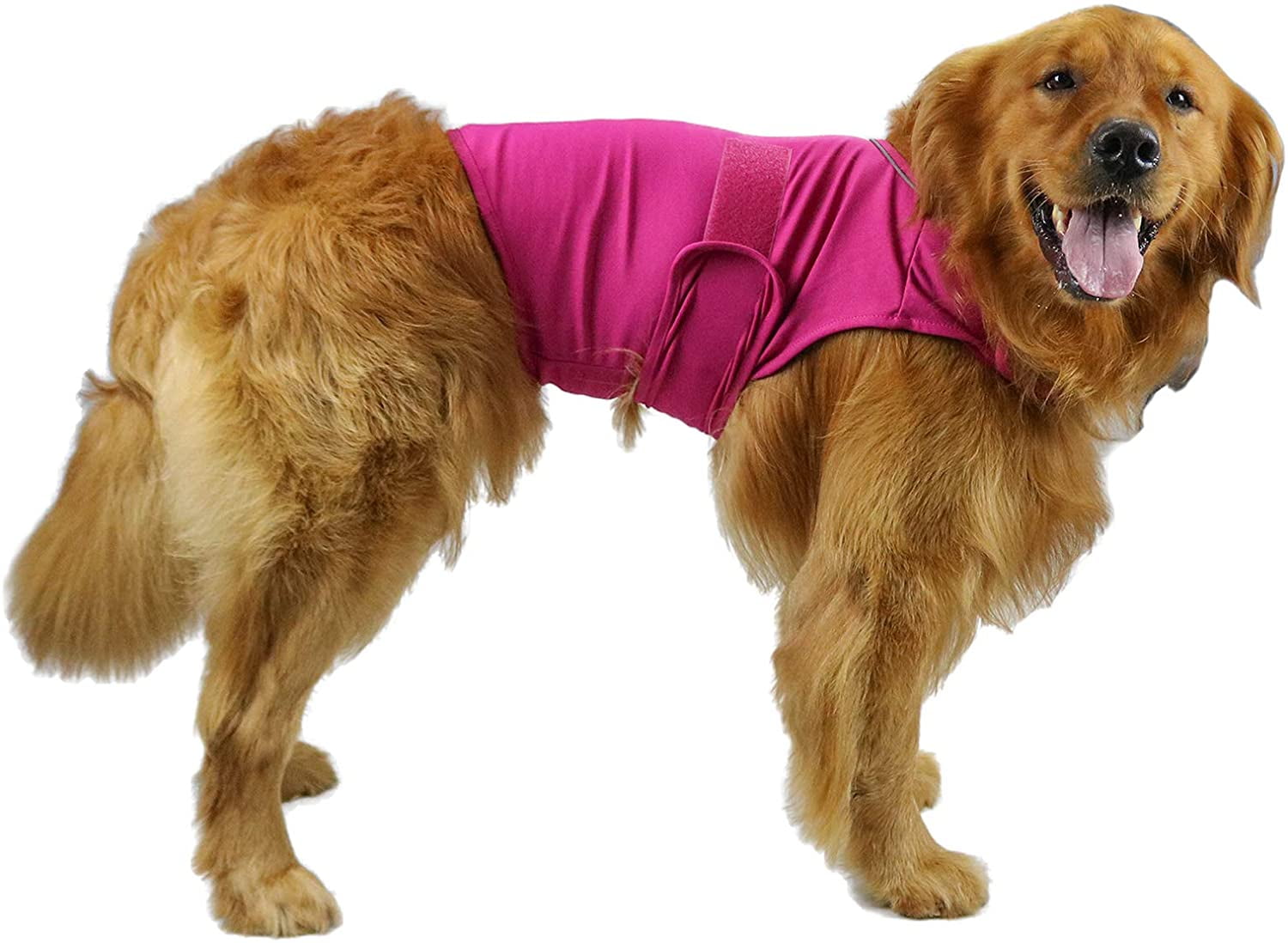 KittyStar Dog Anxiety Vest Jacket Warp,Puppy Calming Coat Anxiety ...