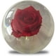 Clear Red Rose Bowling Ball- 14lbs - Walmart.com