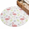 Cartoon Pink Flamingo Round Living Room Rugs 3.3 ft, Animal Boho ...