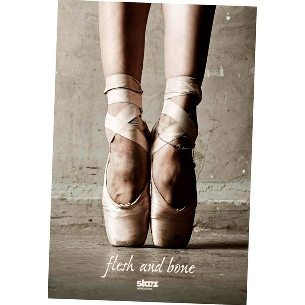 Flesh And Bone Poster Metal Sign Art Print 8x12 Unframed, Age: Adults ...