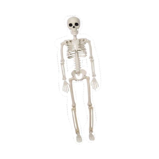 Esqueleto de Halloween con articulaciones móviles, decoración para ...