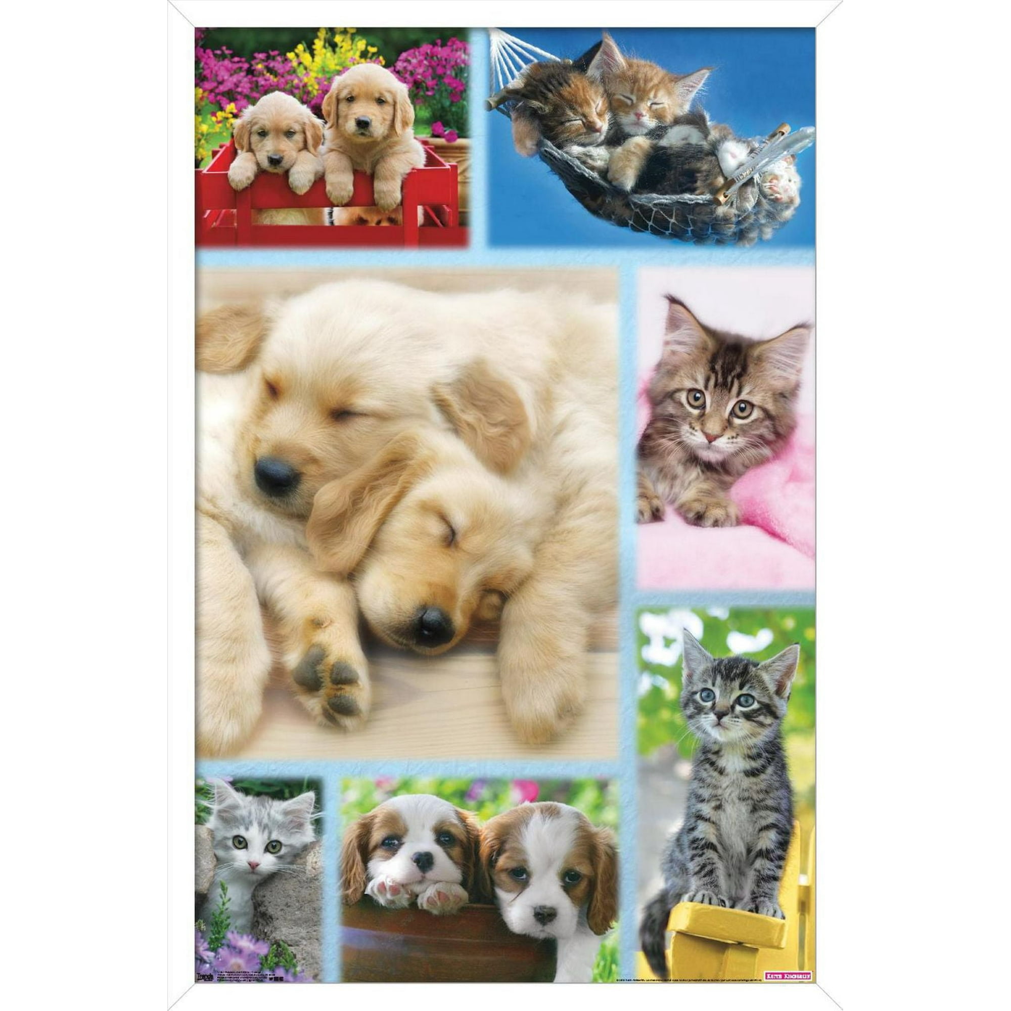 Click here for Trends International Keith Kimberlin - Puppies And... prices