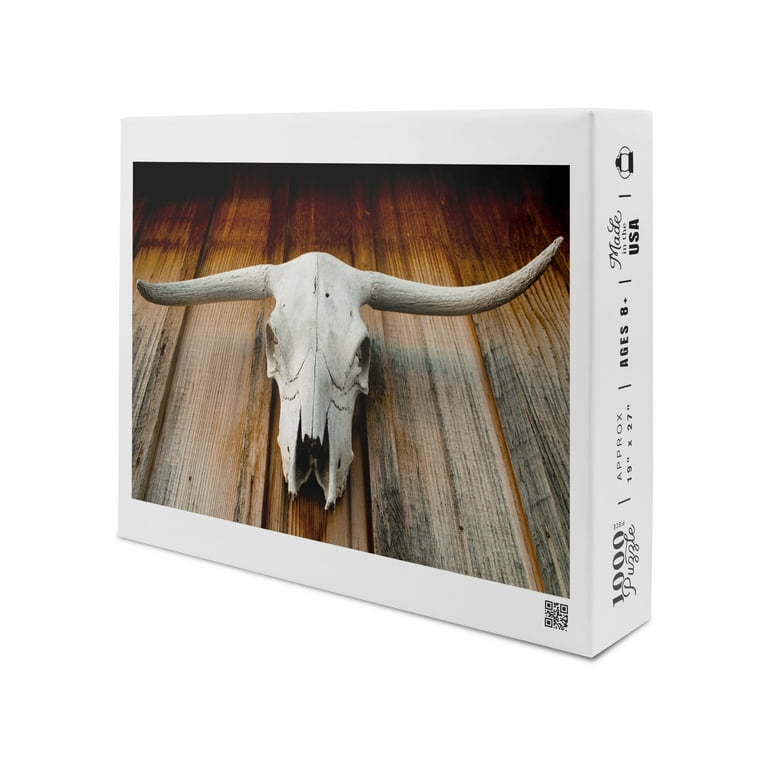 Omo Skull | ppgbbe.intranet.biologia.ufrj.br