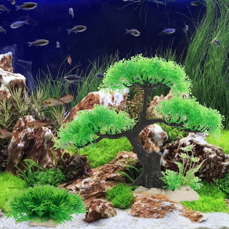Underwater Trees Aquarium Plants Underwater Landscape Nature Forest