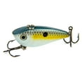 Ozark Trail 3/16 Ounce Shad Rattle Fishing Lure - Walmart.com