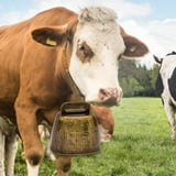 Retro Style Cow Bell Premium Cow Bell Ringing Tiny Loud Bells Metal ...