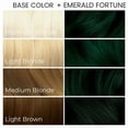 Arctic Fox Emerald Fortune Dark Emerald Green Semi-Permanent Hair Dye ...