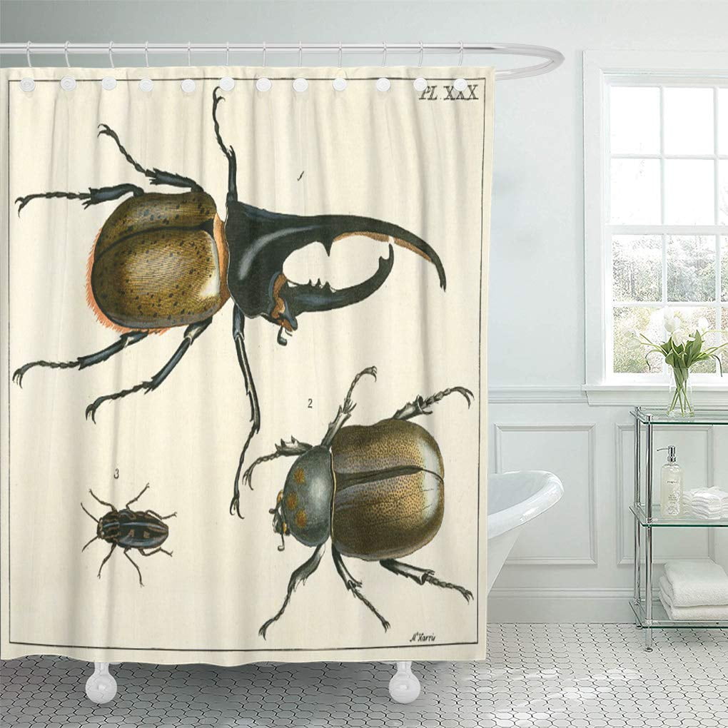 Click here for Xddja Brown Bug Beetles Insect Vintage Science Cre... prices