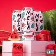 Mela Water Watermelon Juice Drink, Electrolytes, Antioxidants, Vitamin ...