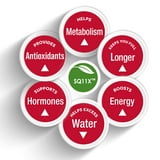 SLIMQUICK Pure Keto Extra Strength Weight Loss Capsules for Women, 60 ...