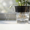 Clear Self-Watering Plant Pots With Transparent Design, Automatic Water ...