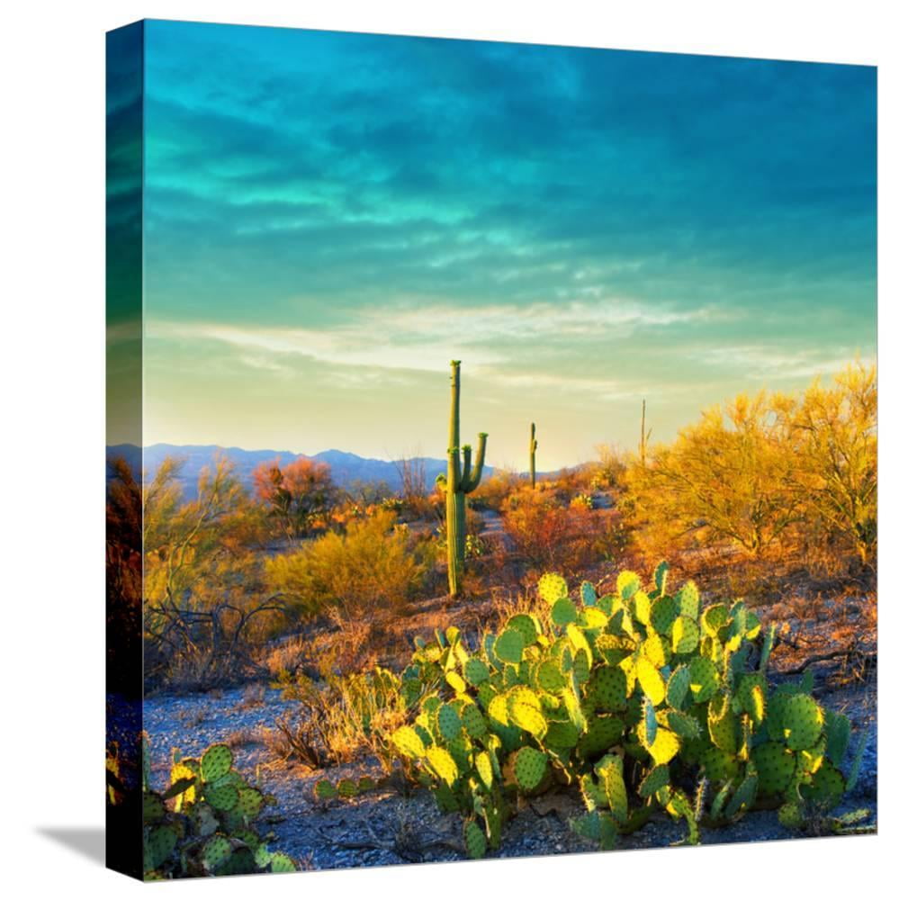 Arizona Wall Art Original Art Oil Painting Arizona Landscape Canvas ...