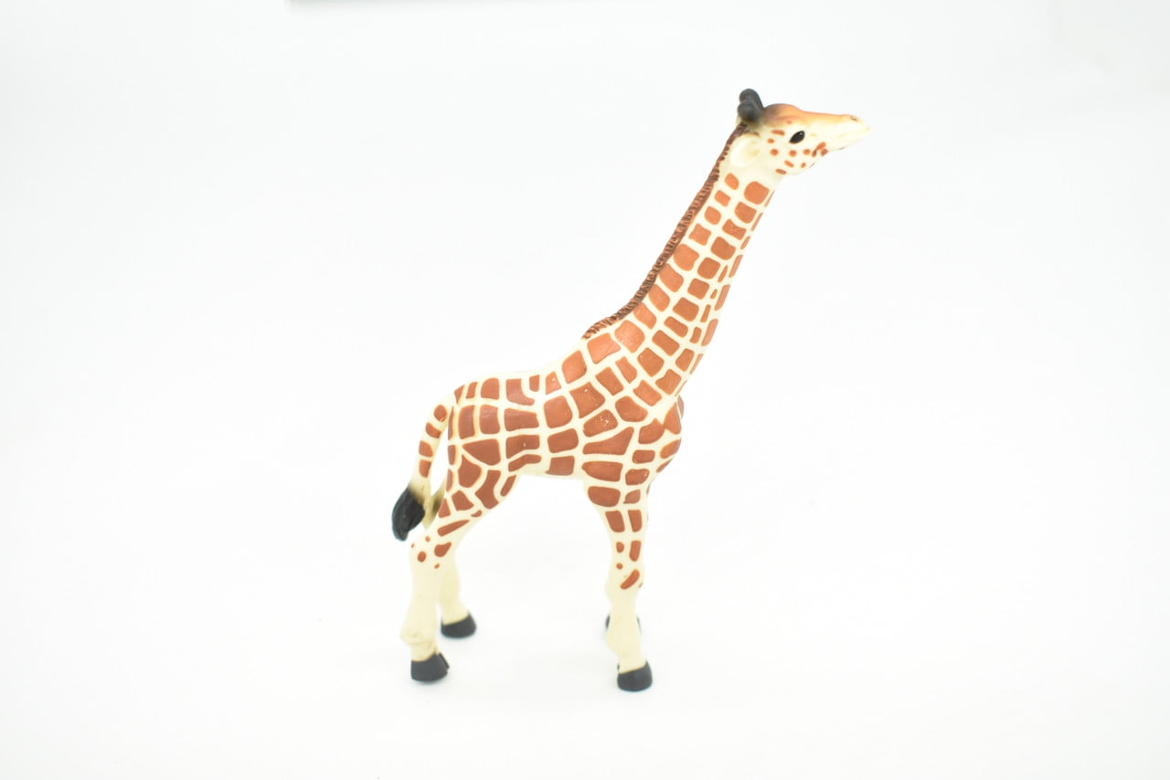Giraffe, Museum Quality Plastic Animal Toy, Educational, Realistic Hand ...